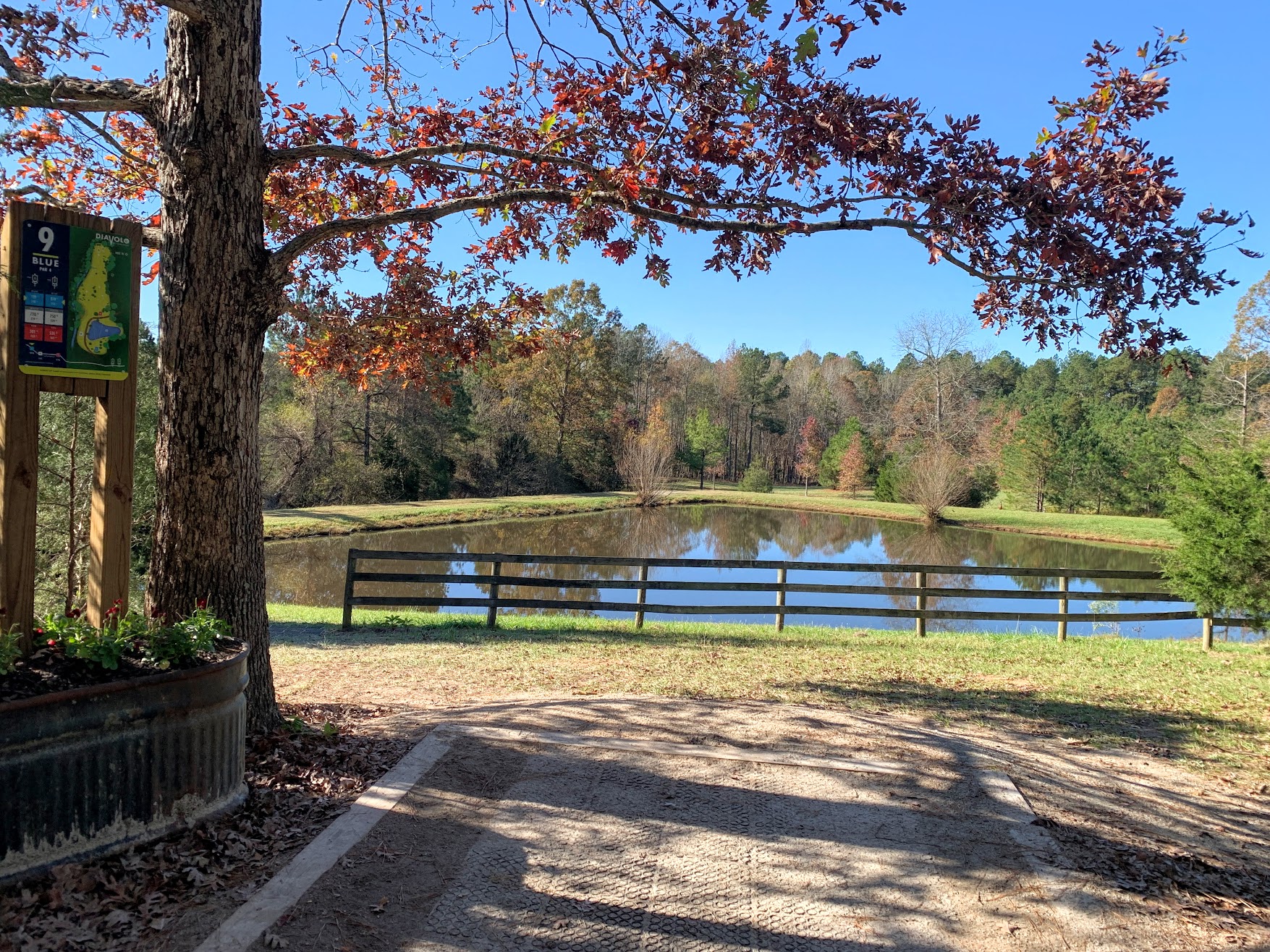 Editorial Content – Mandy Howard